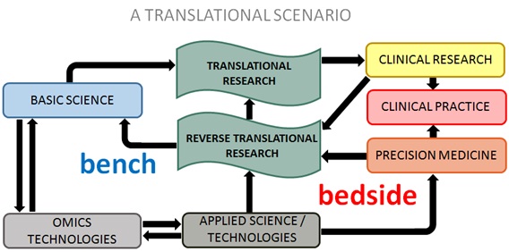 Translational And Reverse Translational Research Supporting Precision translational-and-reverse-translational-research-supporting-precision